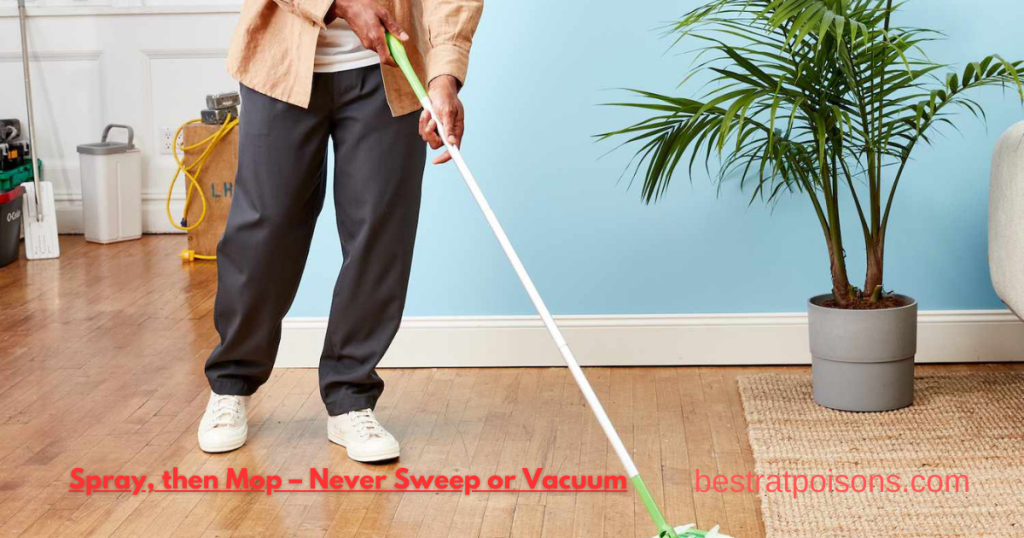 Effective Rodent Infestation Clean-Up Guide